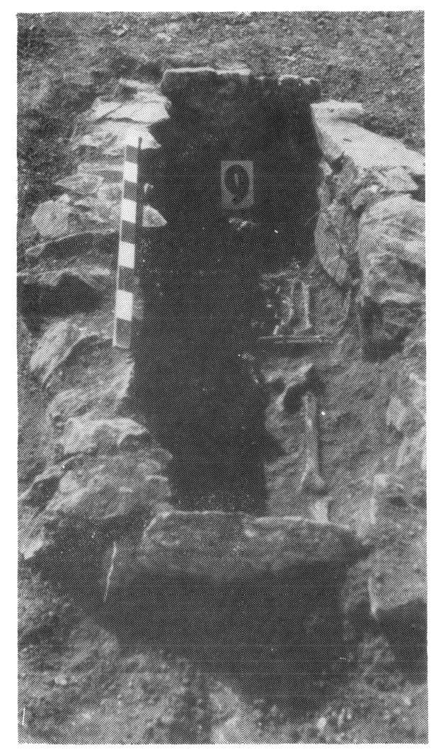 Në bukël lidhet historia e Ilirëve dhe Arbërorëve - Shqip.info